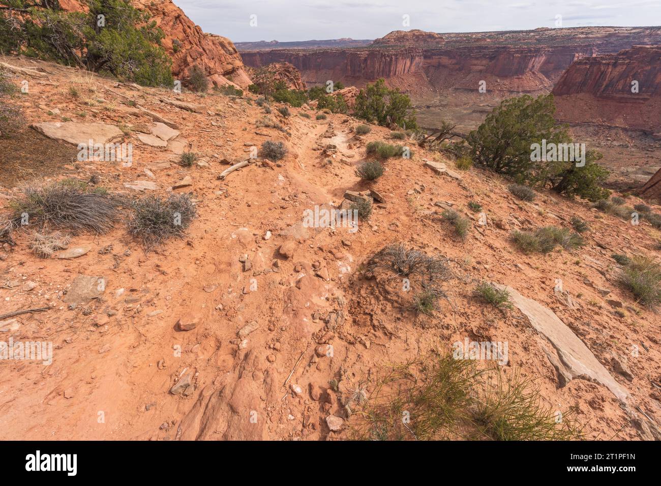 hiking the alcove spring trail in canyonlands national park, usa Stock ...