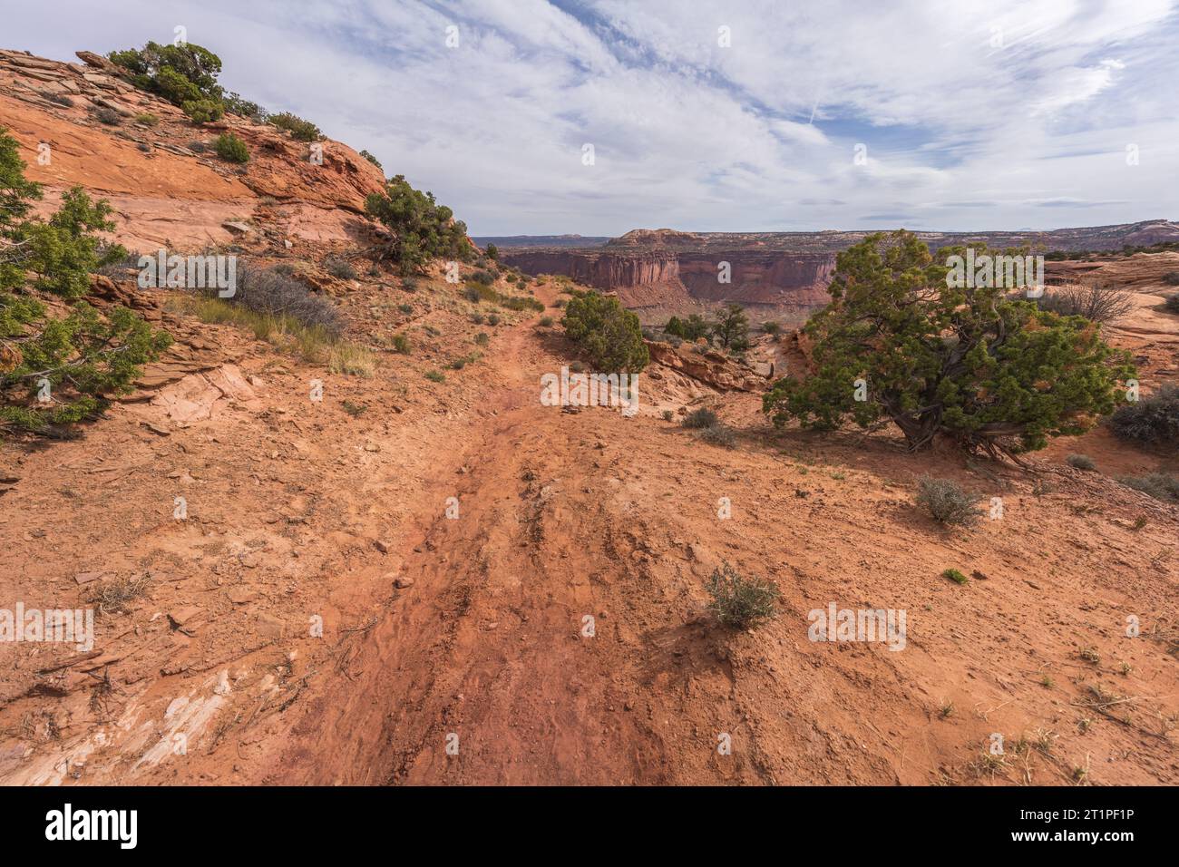hiking the alcove spring trail in canyonlands national park, usa Stock ...