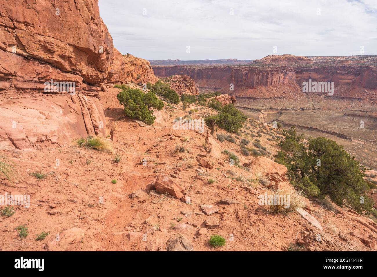 hiking the alcove spring trail in canyonlands national park, usa Stock ...