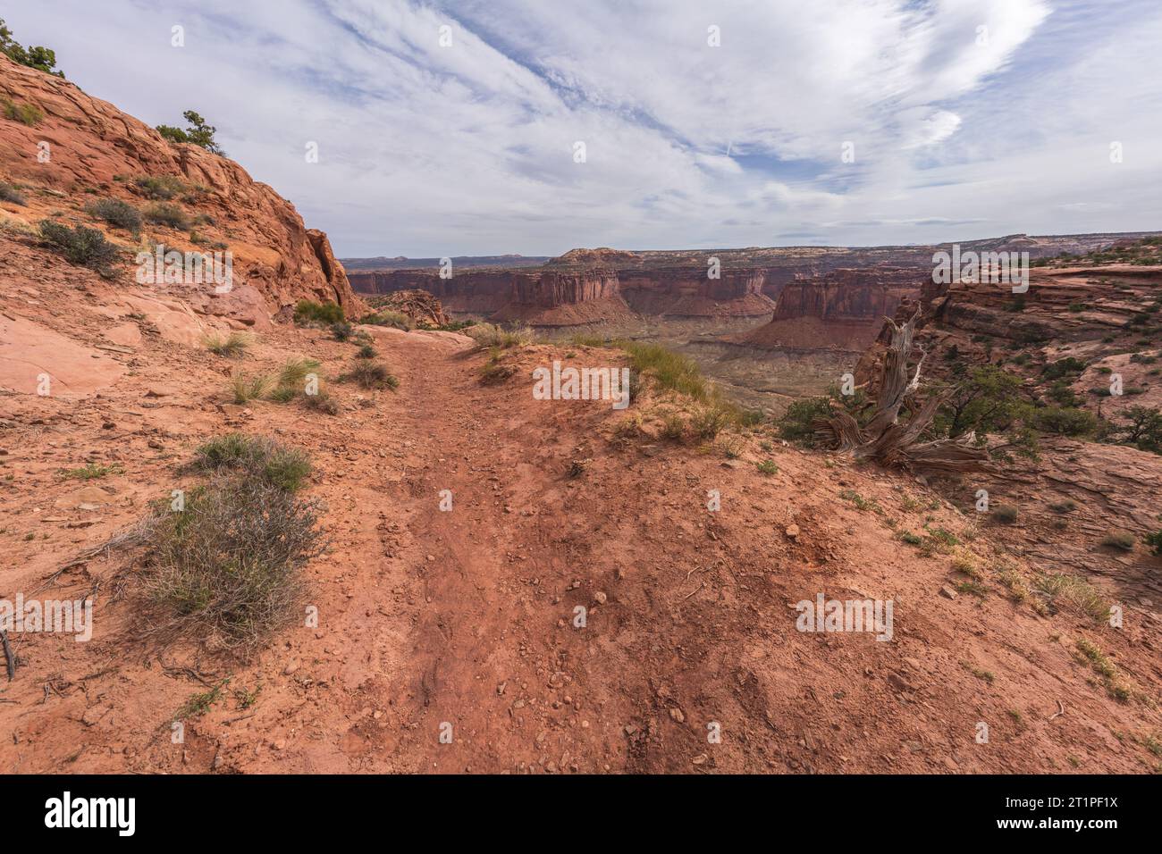 hiking the alcove spring trail in canyonlands national park, usa Stock ...