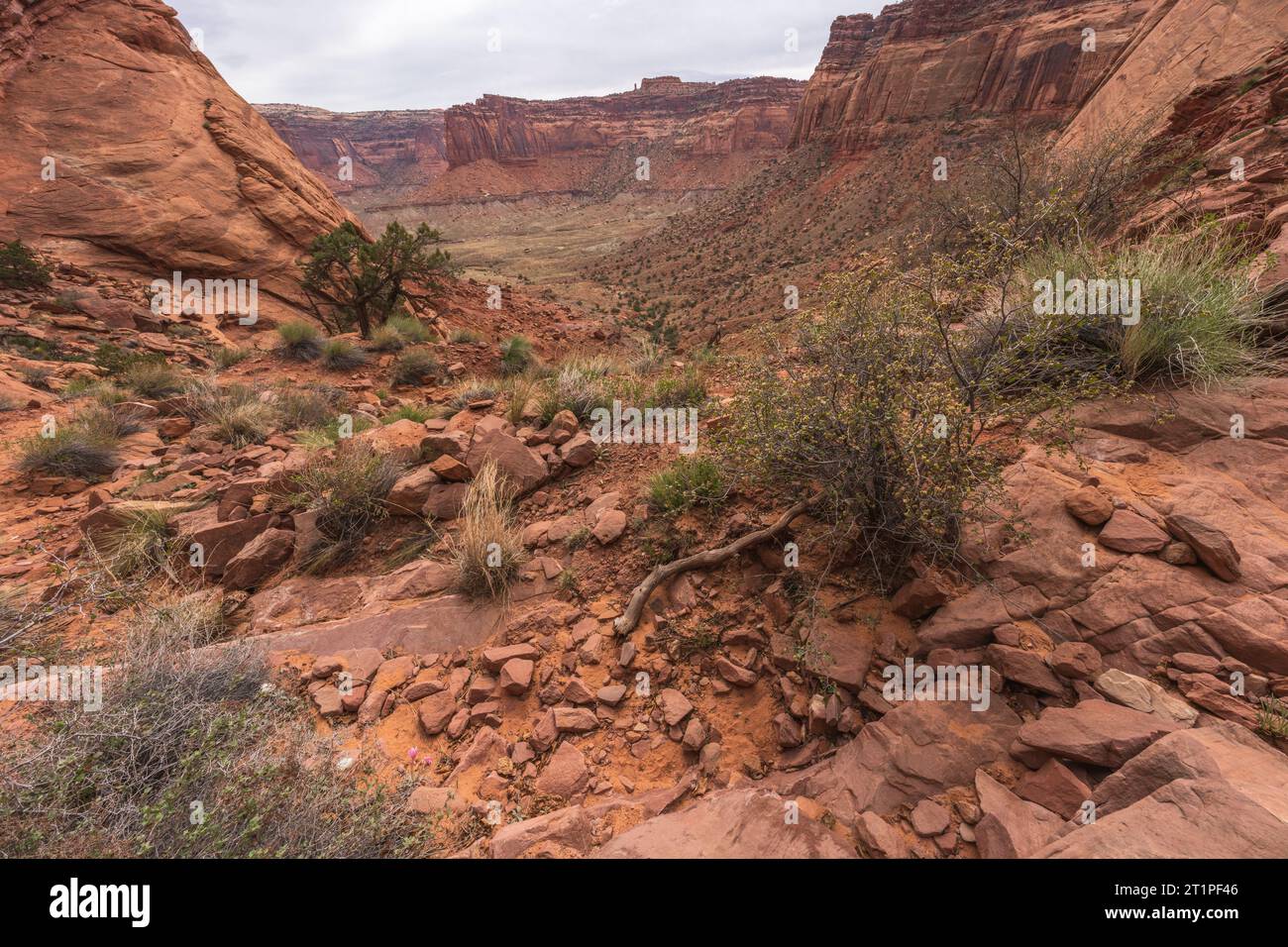 hiking the alcove spring trail in canyonlands national park, usa Stock ...
