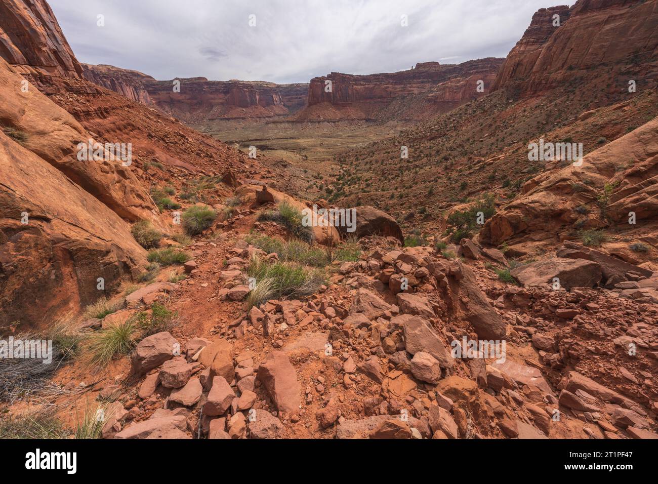 hiking the alcove spring trail in canyonlands national park, usa Stock ...