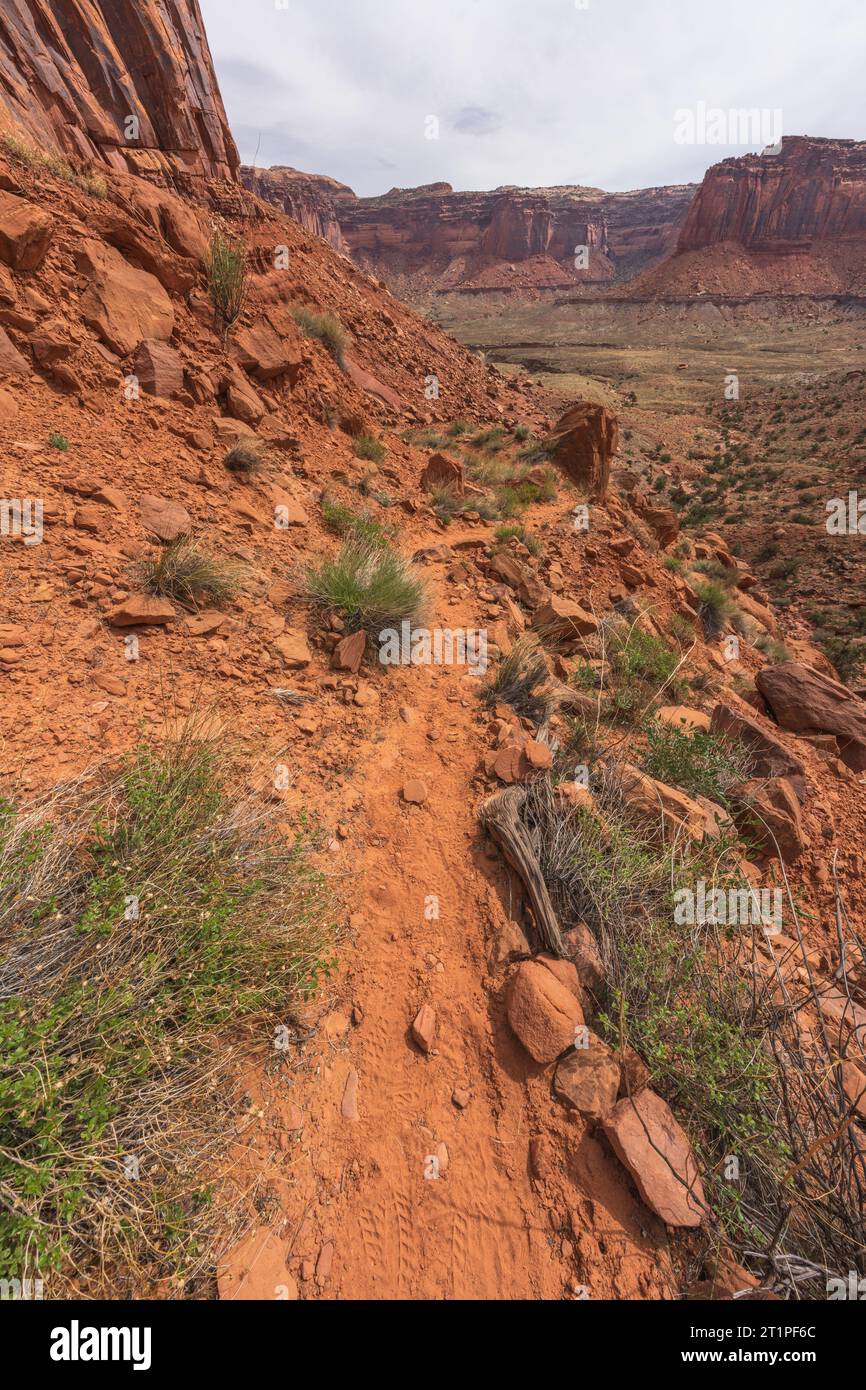hiking the alcove spring trail in canyonlands national park, usa Stock ...