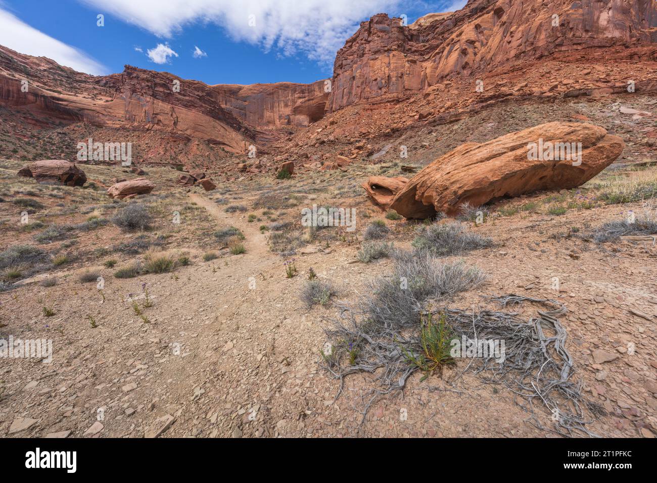 hiking the alcove spring trail in canyonlands national park, usa Stock ...