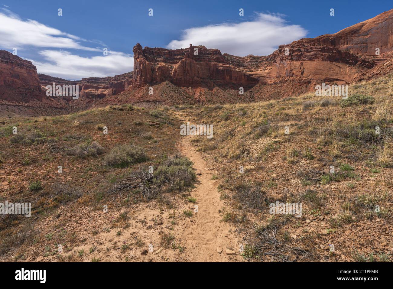 hiking the alcove spring trail in canyonlands national park, usa Stock ...