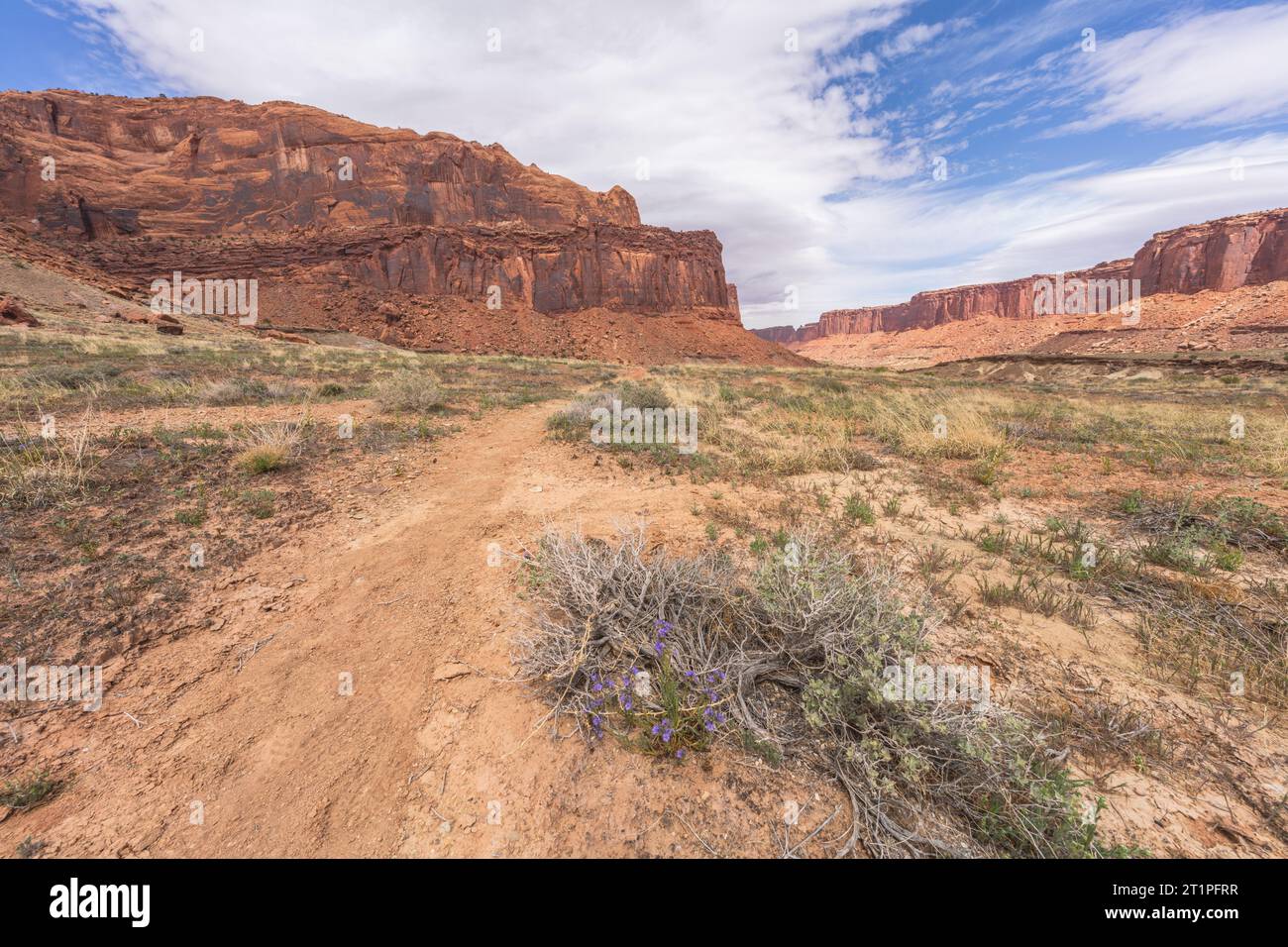hiking the alcove spring trail in canyonlands national park, usa Stock ...