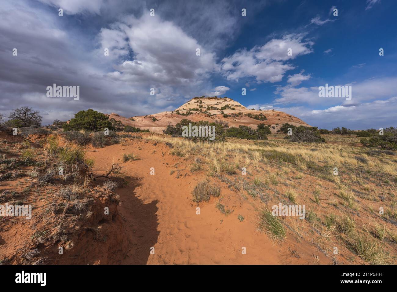 hiking the aztec butte trail in canyonlands national park, usa Stock ...