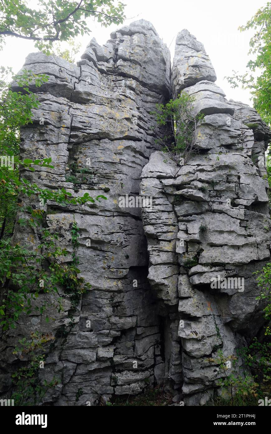 The Torrioni of Monrupino form a geosite of great interest as they are ...