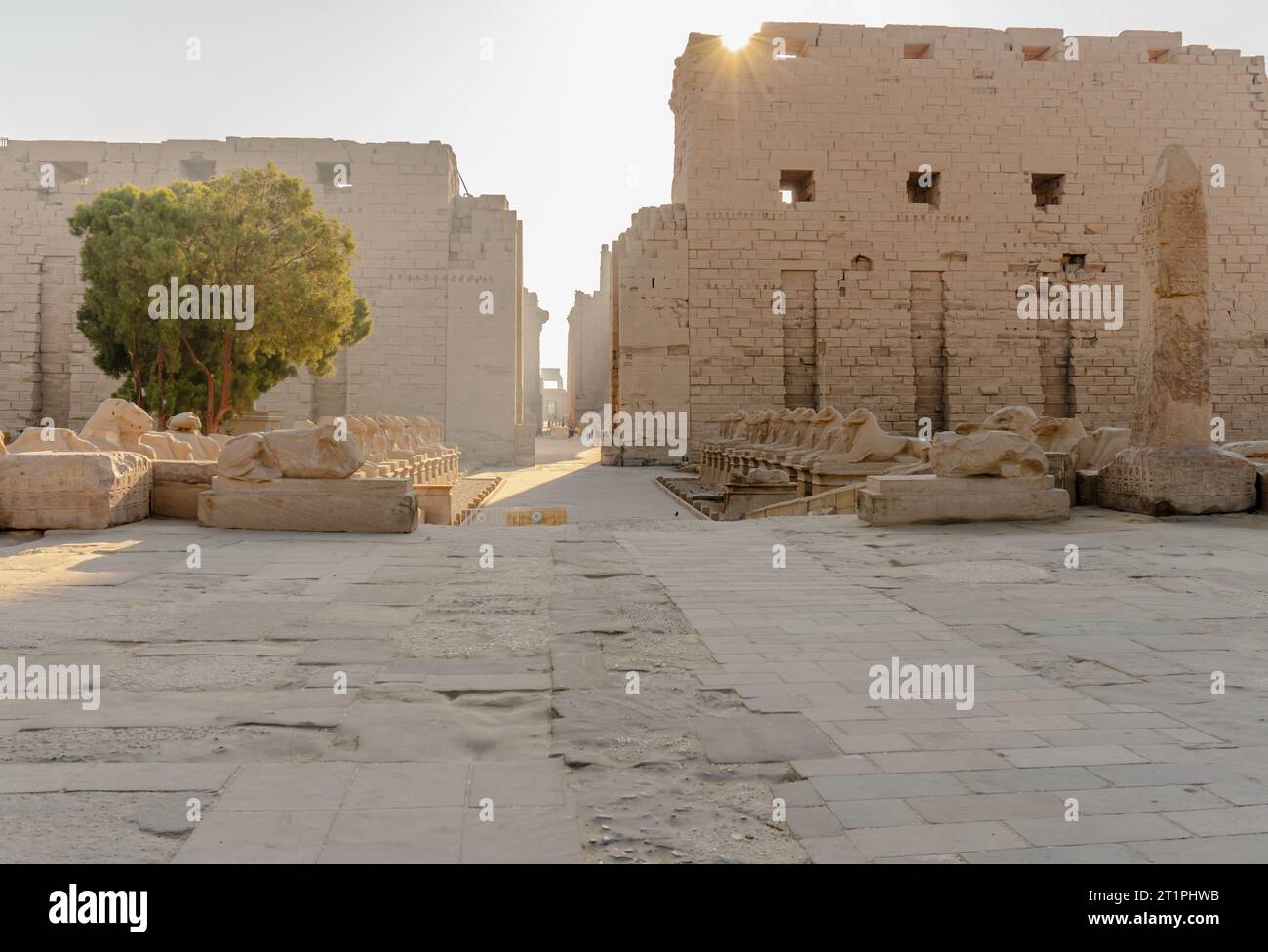 Temple karnak luxor sphynxes hi-res stock photography and images - Alamy