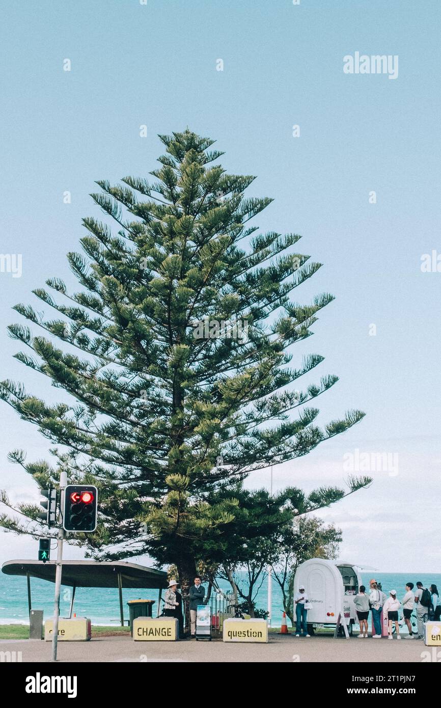 Manly beach spring morning Stock Photo - Alamy