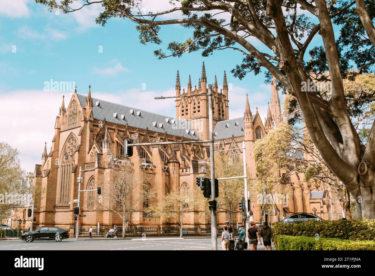 Sydney St Mary's Cathedral spring morning Stock Photo - Alamy