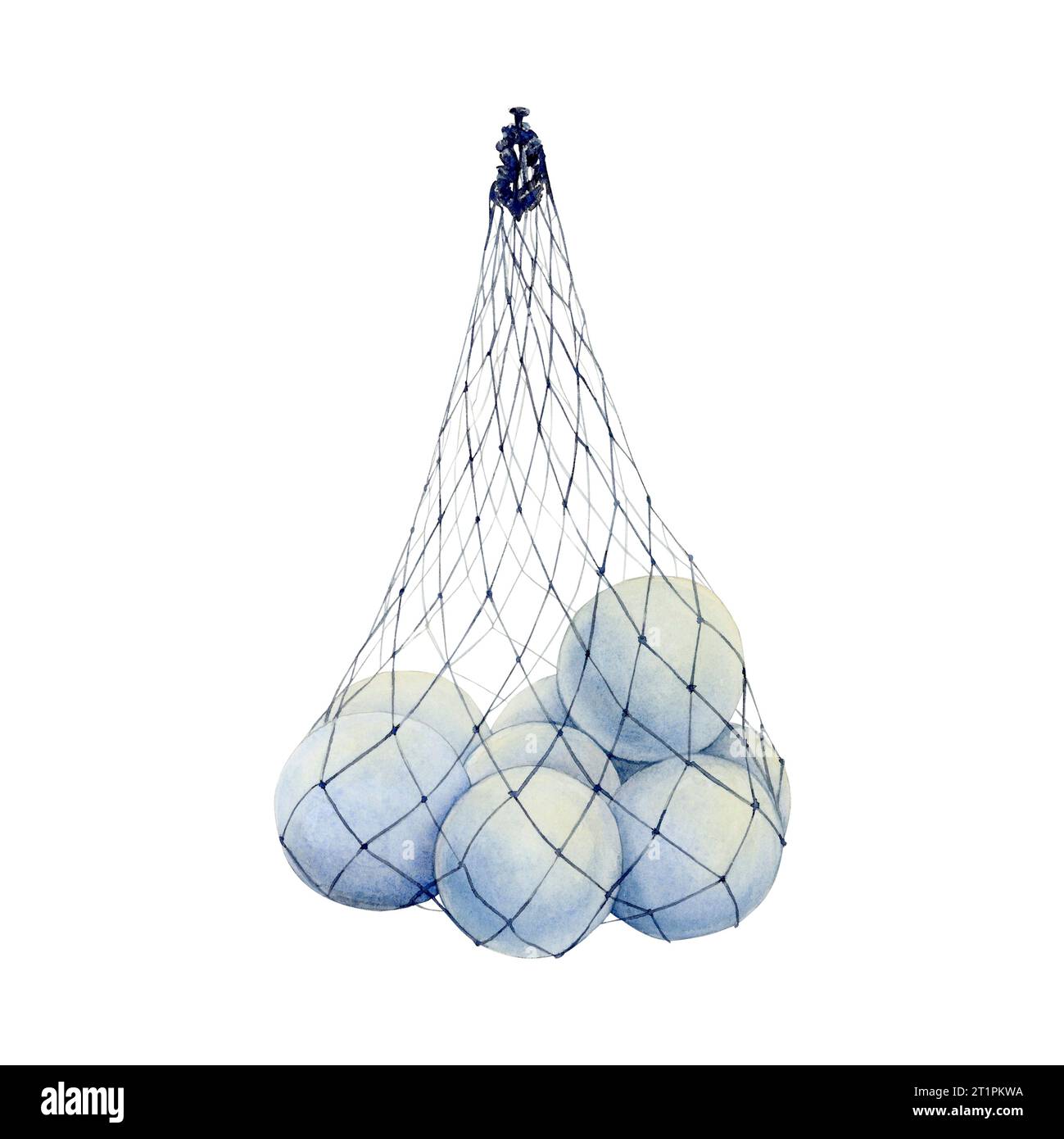 Watercolor drawing of white football or volleyball balls set in the net ...