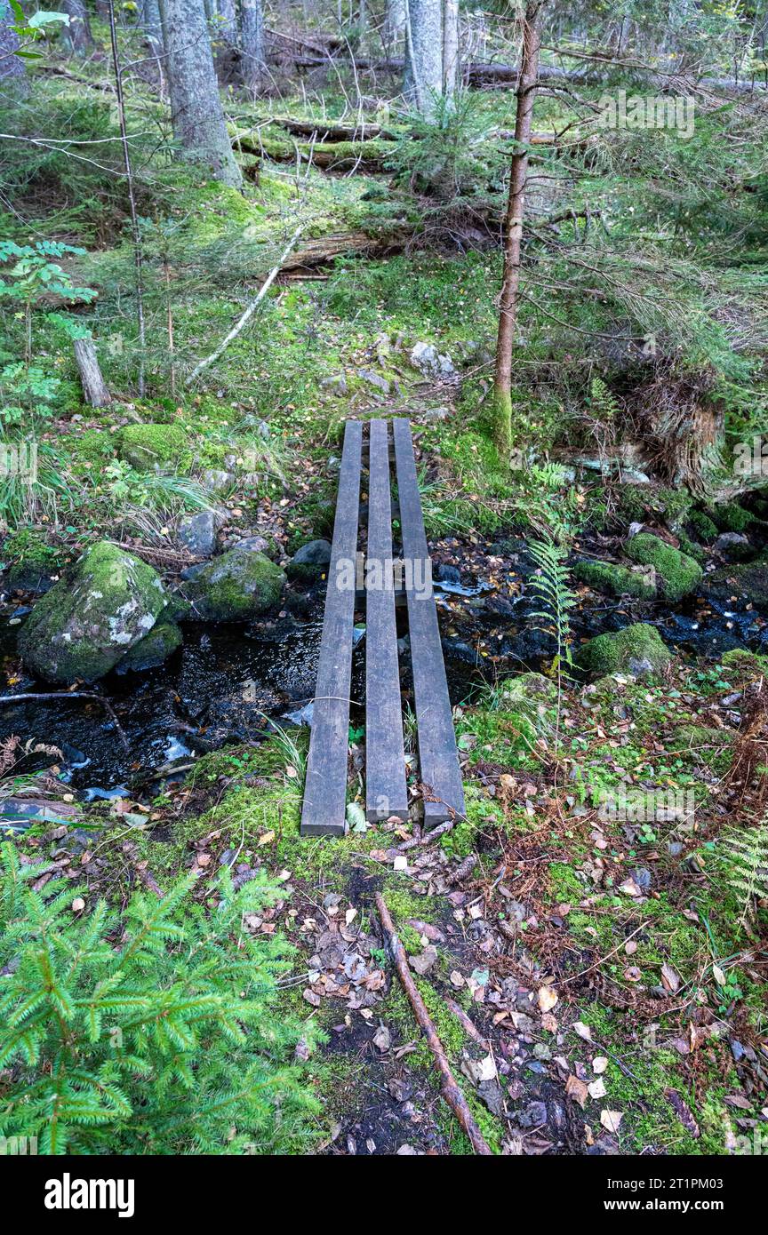 small wooden bridge over narrow stream in forest Stock Photo - Alamy