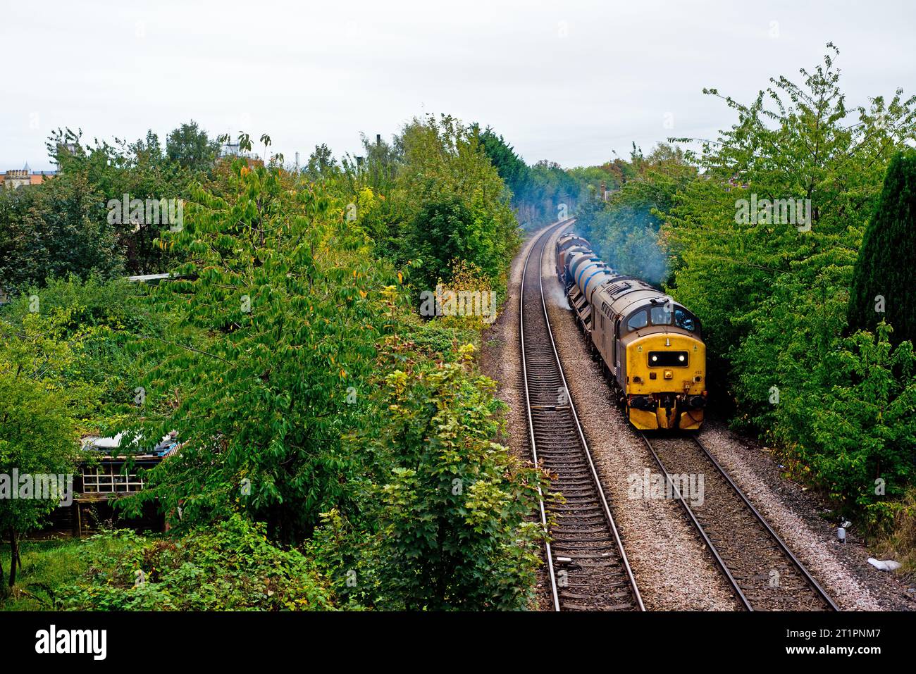 Class 37422 Victorious on Rail Head Treatment Train, Crichton Road ...