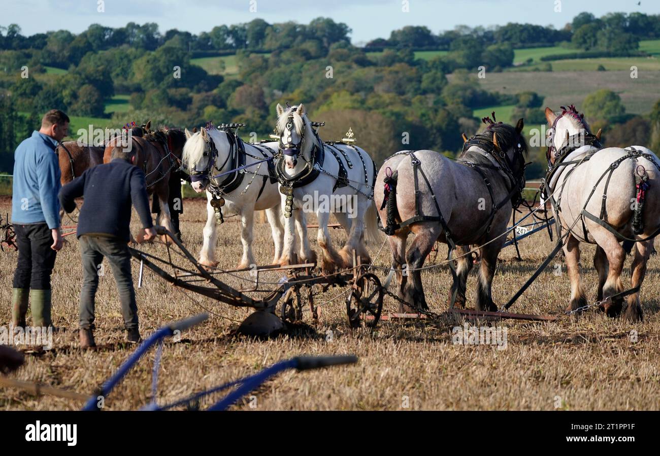 Competitors take part in the Horse Ploughing competition during the ...