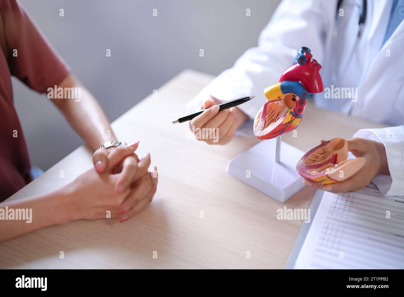 Asian cardiologist doctor women pointing on anatomical of human heart ...