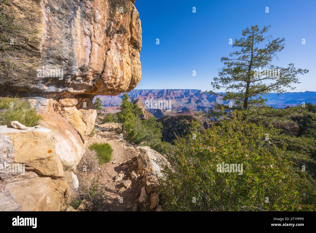 hiking the grandview trail in the grand canyon national park in arizona ...