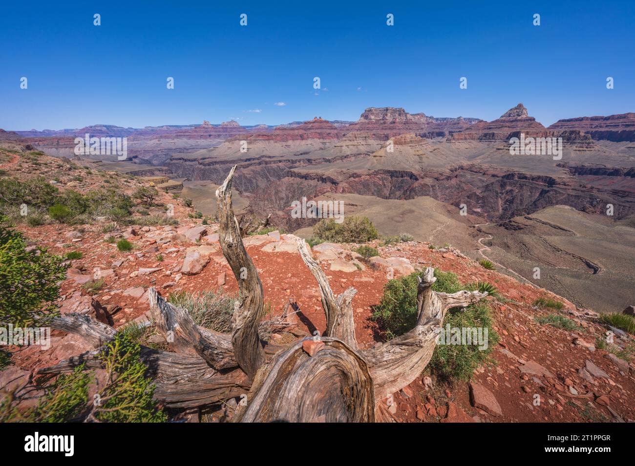 hiking the grandview trail in the grand canyon national park in arizona ...