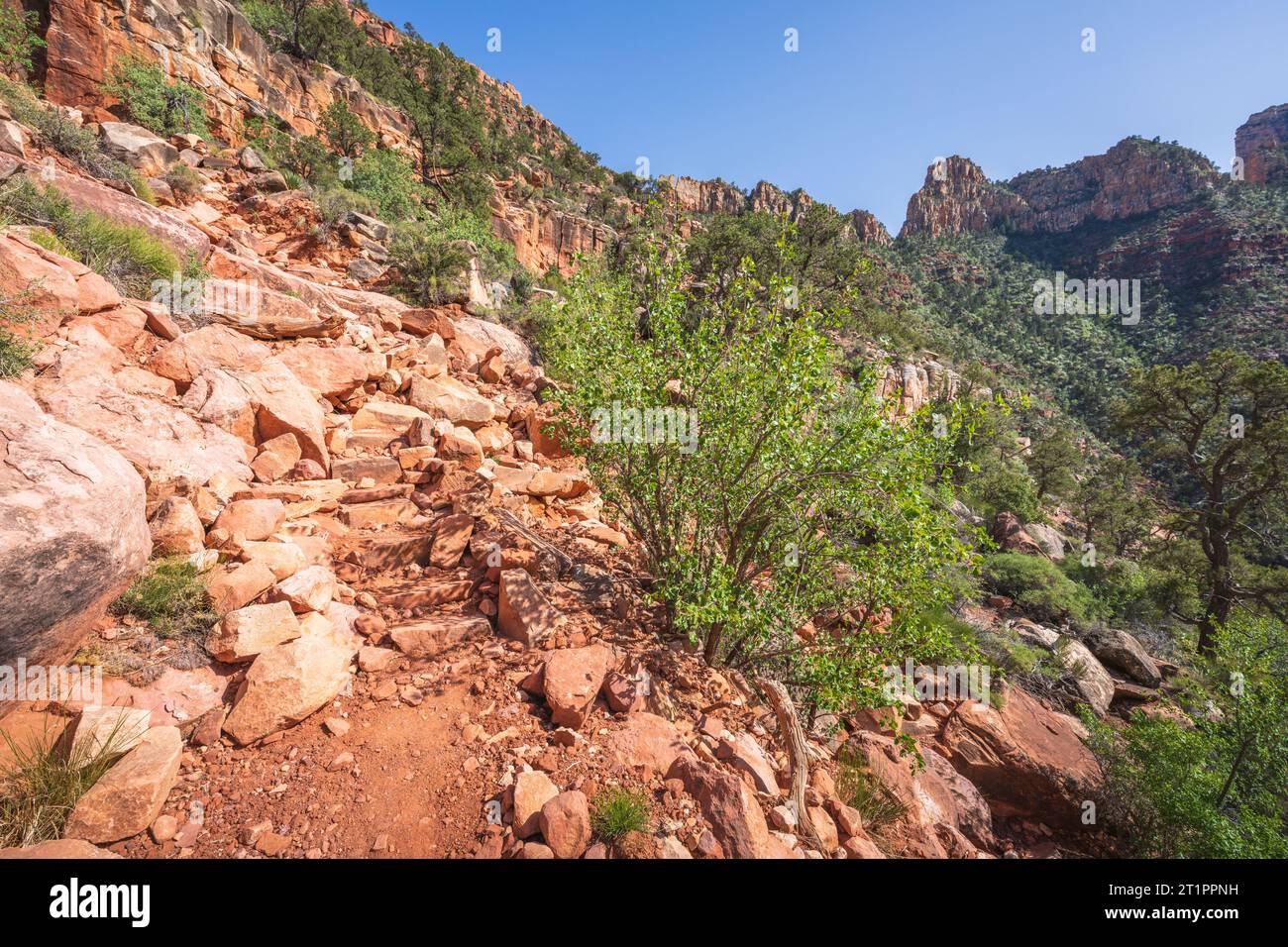 hiking the grandview trail in the grand canyon national park in arizona ...