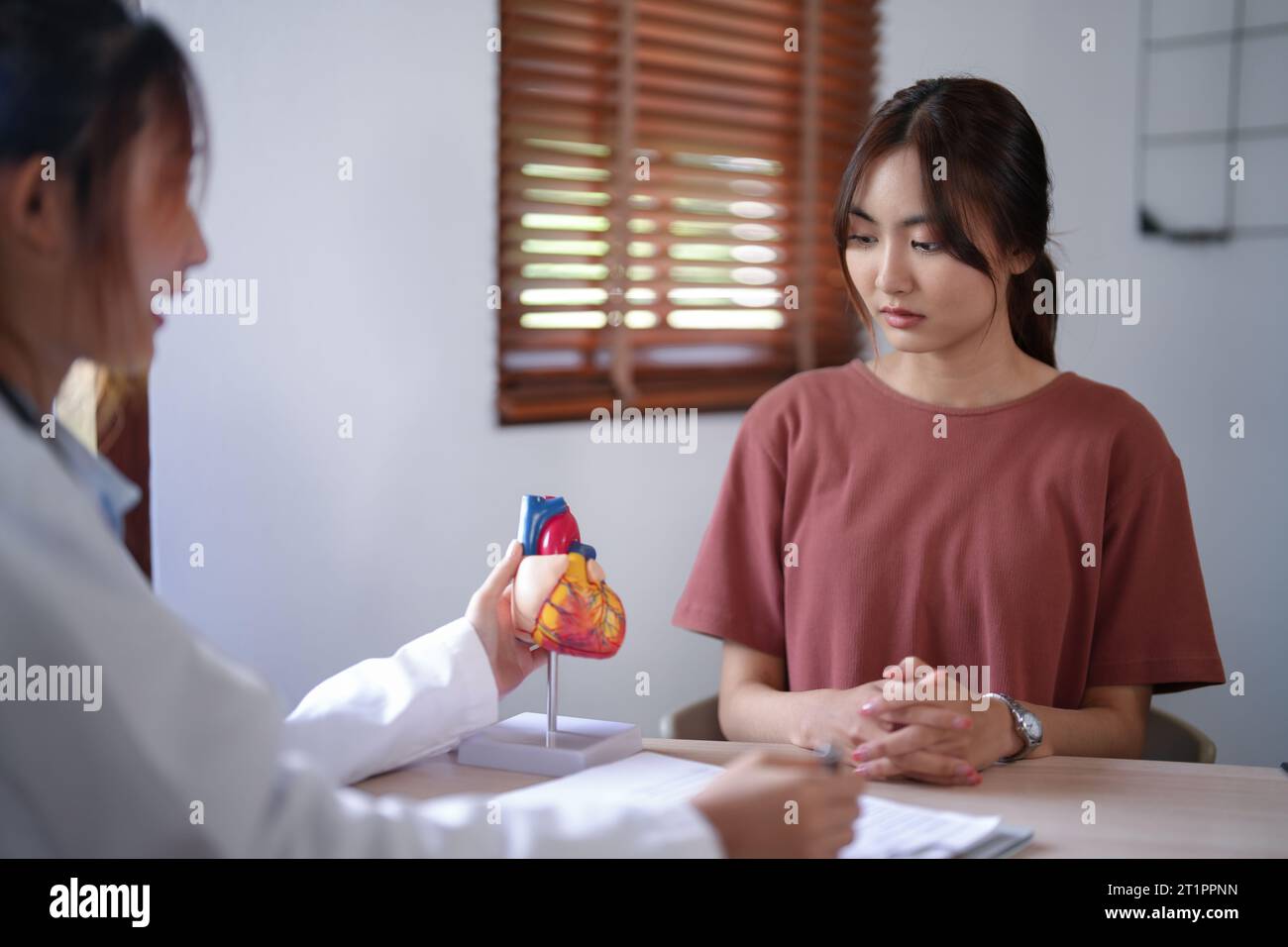 Asian cardiologist doctor women pointing on document and anatomical of ...