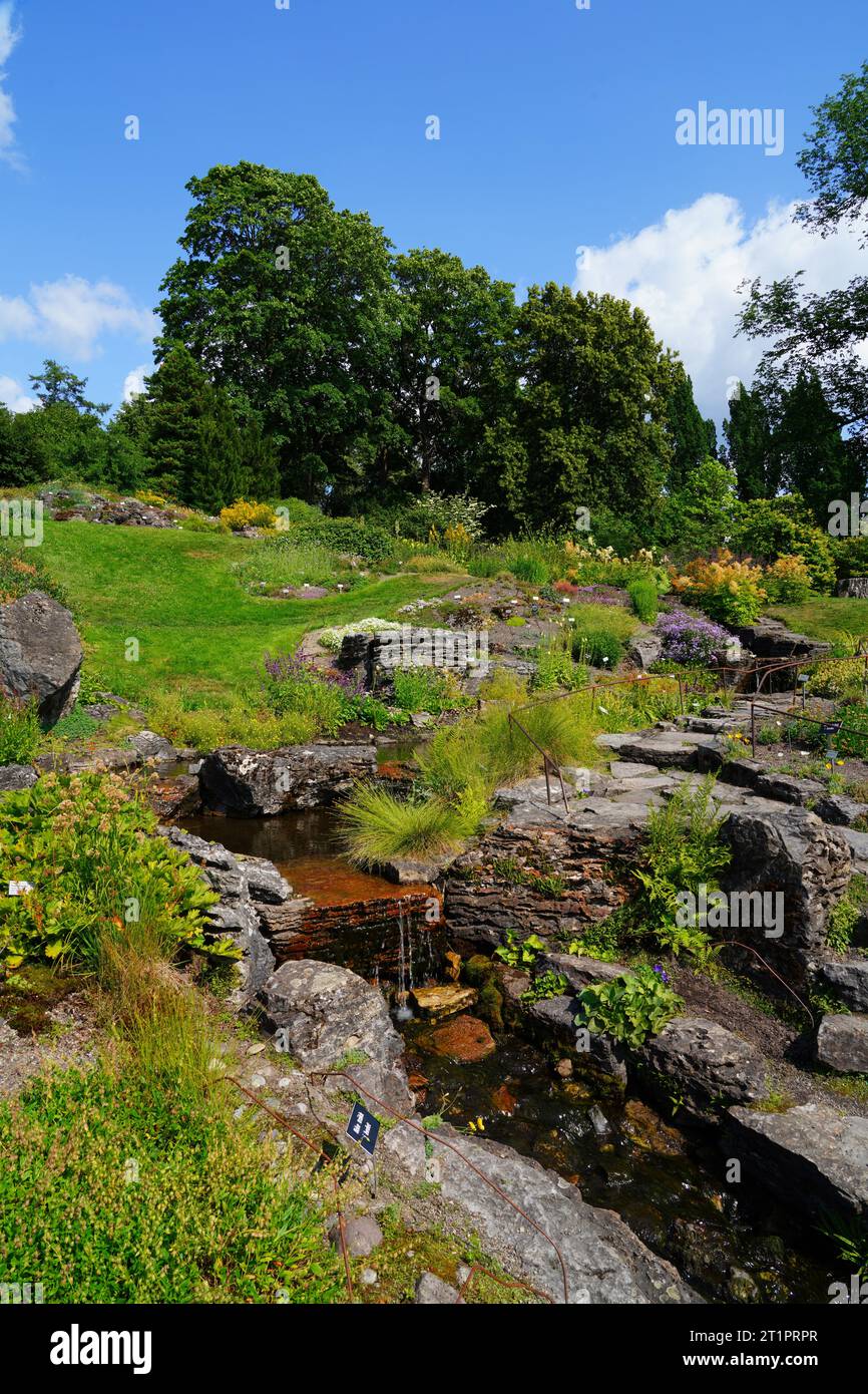 OSLO, NORWAY -1 JUL 2023- Dayview of the Oslo Botanical Garden, part of ...