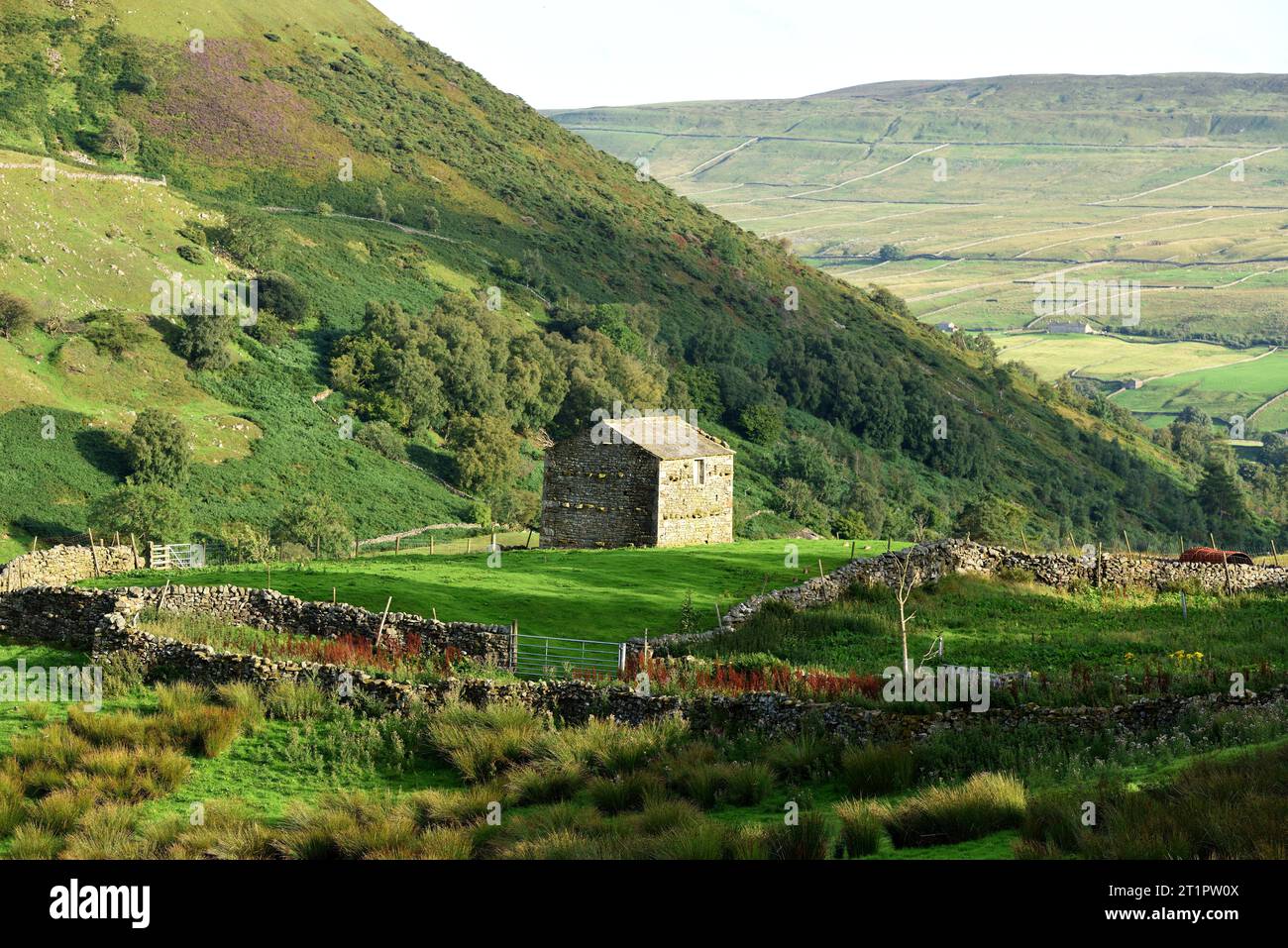 Sun lit field barn with dry stone walls near Keld Stock Photo - Alamy