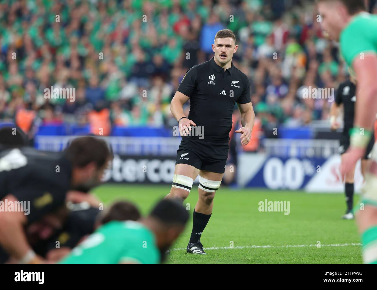 Dalton papalii hi-res stock photography and images - Alamy