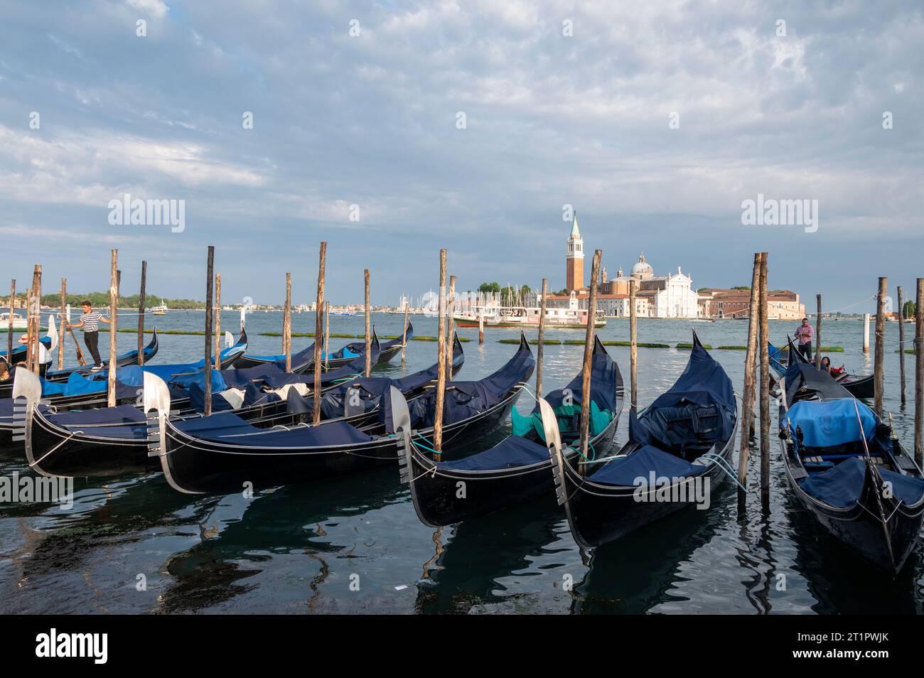 A fleet of moored gondolas on the bank of Piazza San Marco (St.Mark’s ...