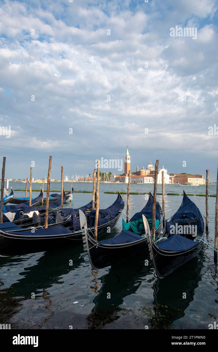 A fleet of moored gondolas on the bank of Piazza San Marco (St.Mark’s ...