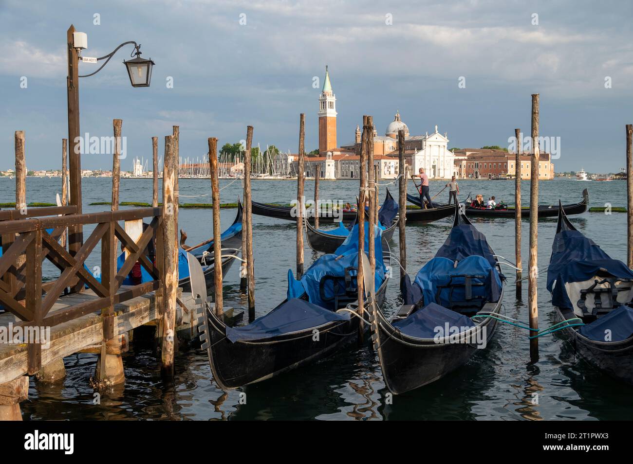 A fleet of moored gondolas on the bank of Piazza San Marco (St.Mark’s ...