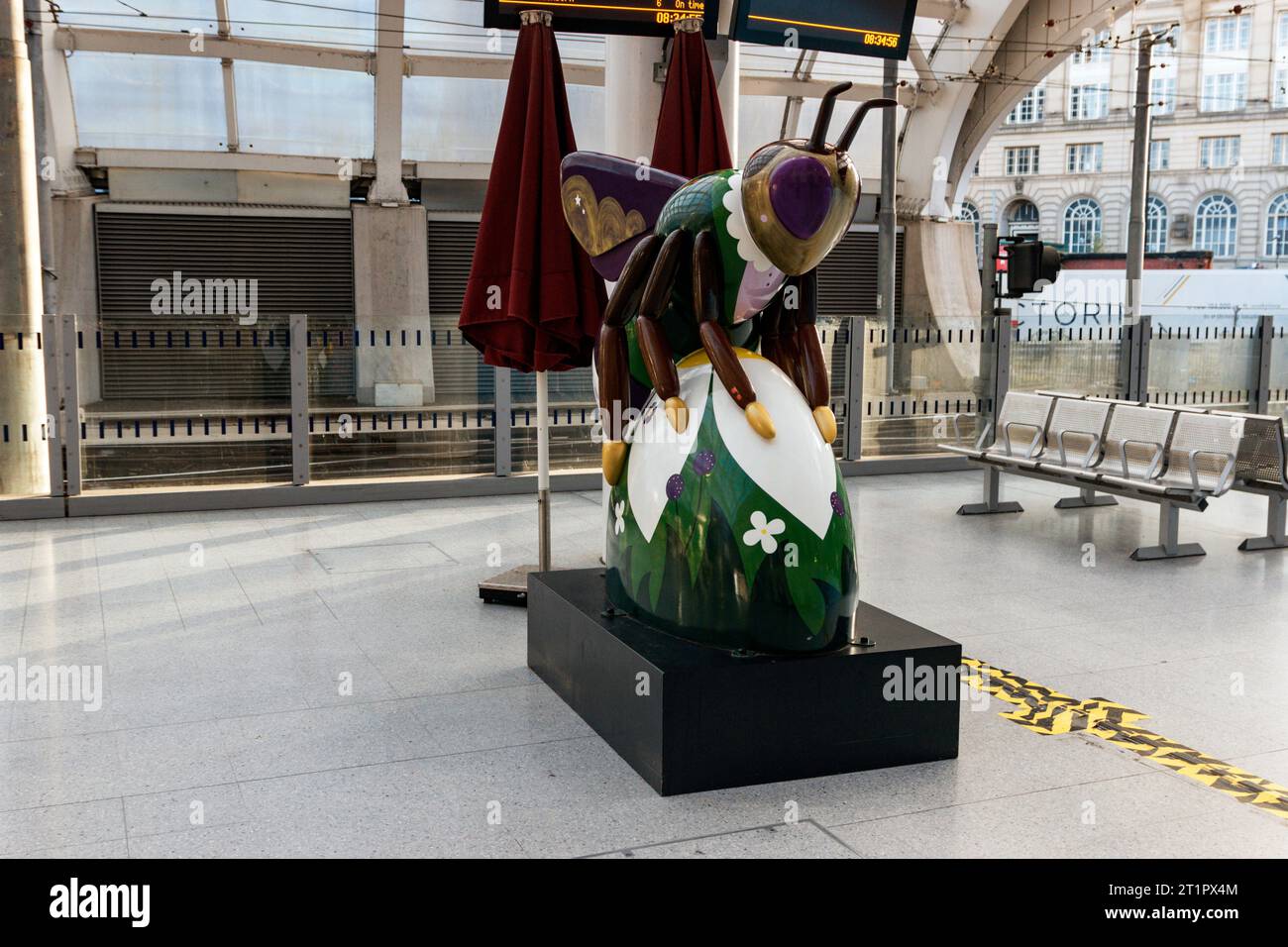 Manchester Bee at Manchester Victoria Stock Photo - Alamy