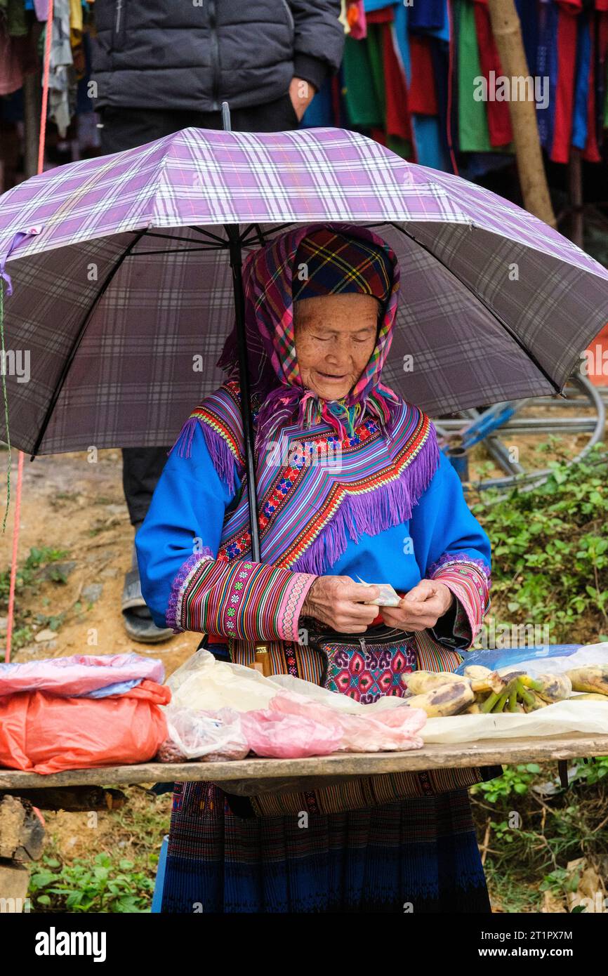 Can Cau Market Scene, Vietnam. Elderly Hmong Woman Counting her Money ...