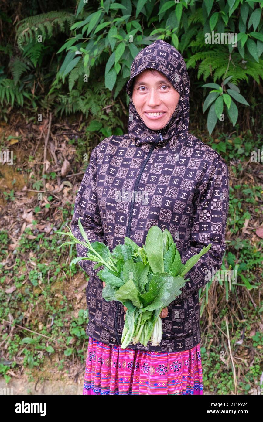 Bac Ha, Vietnam. Hmong Woman with Greens for Cooking. Lao Cai Province ...