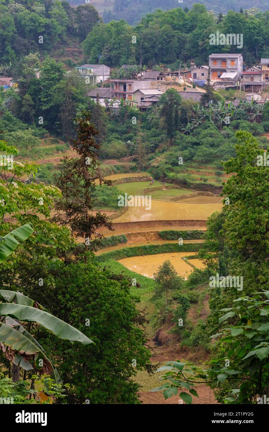 Vietnam rural landscape hi-res stock photography and images - Alamy