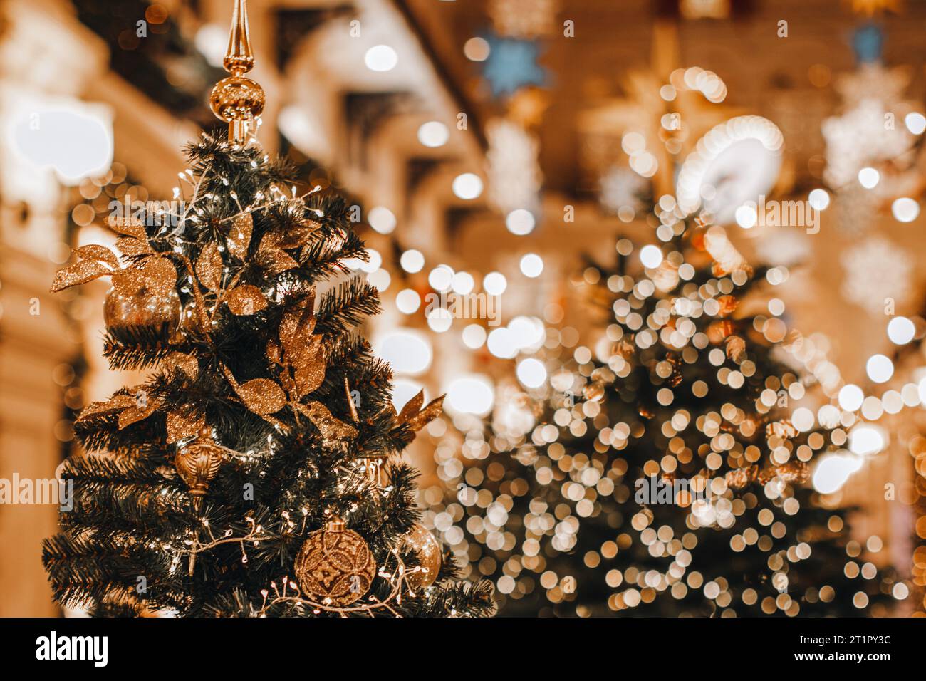 Golden Christmas trees decorated with glittering garland and Christmas ...