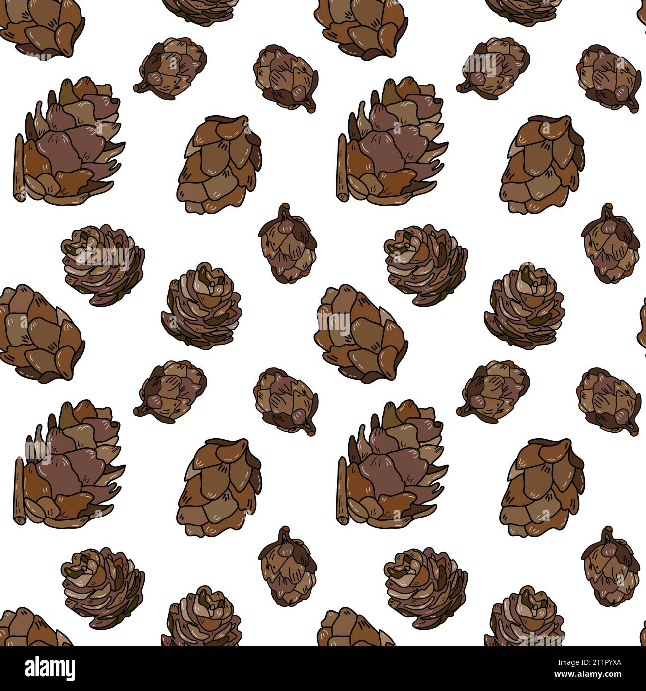 Pine cone seamless pattern. Botanical hand drawn vector background Stock Vector Image & Art - Alamy