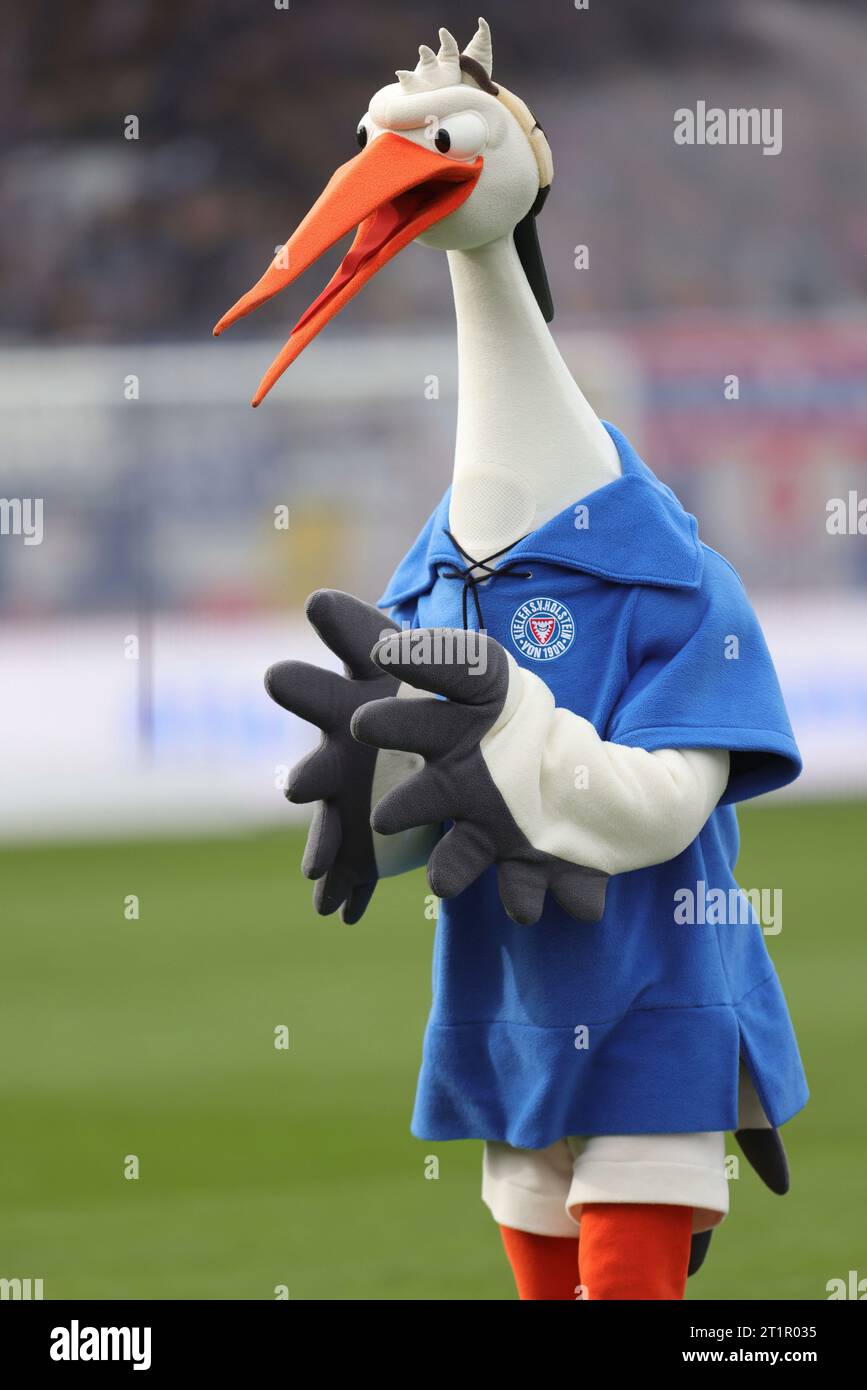 Kiel, Deutschland. 08th Oct, 2023. firo: October 8th, 2023 Football ...