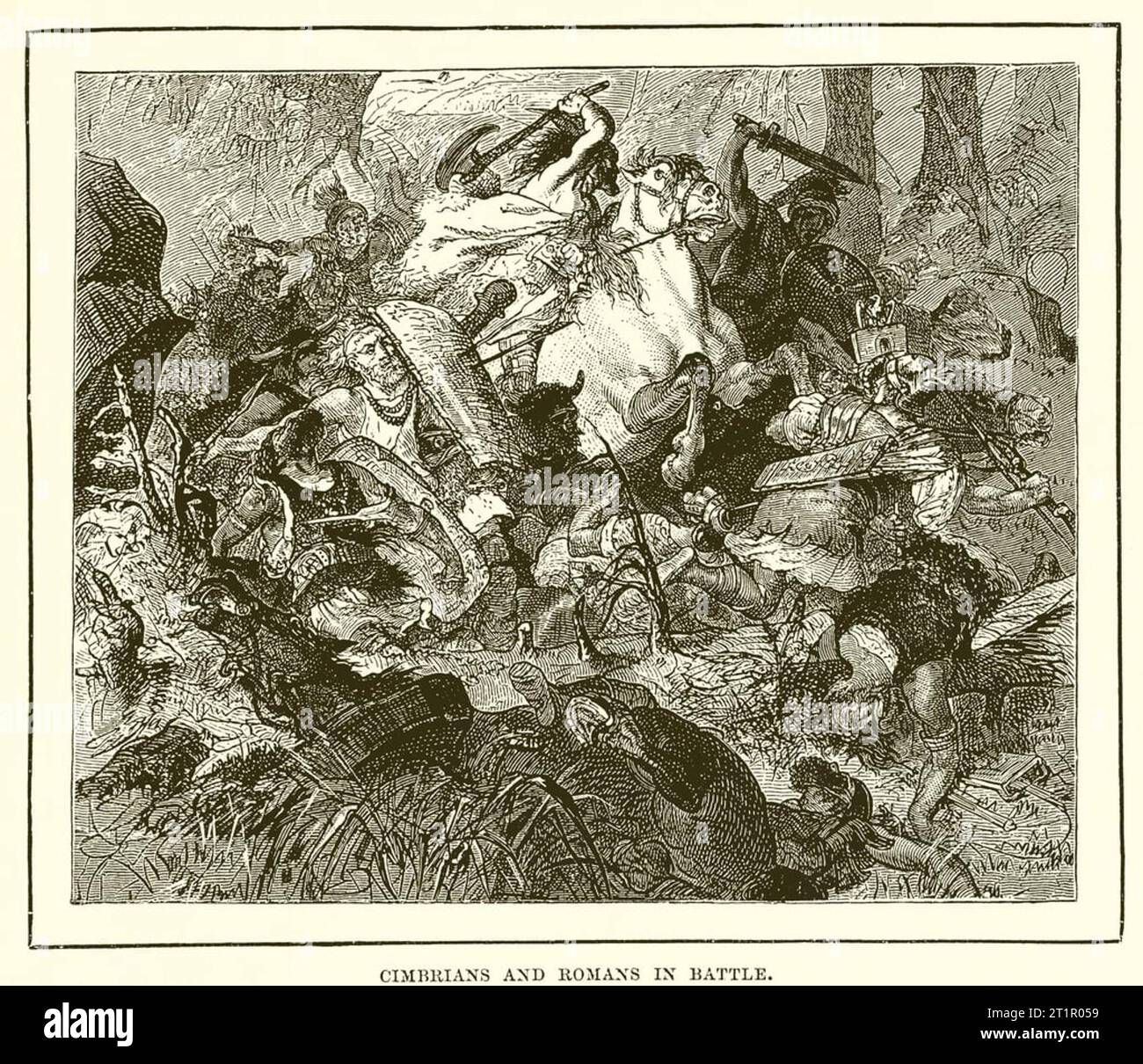 The cimbrians hi-res stock photography and images - Alamy