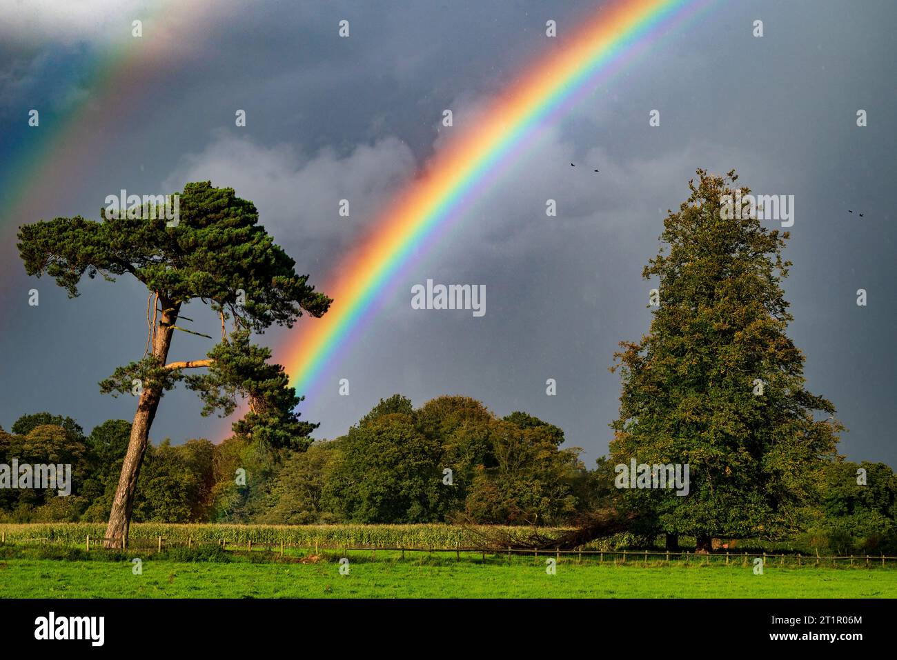 Rainbow with trees hi-res stock photography and images - Alamy