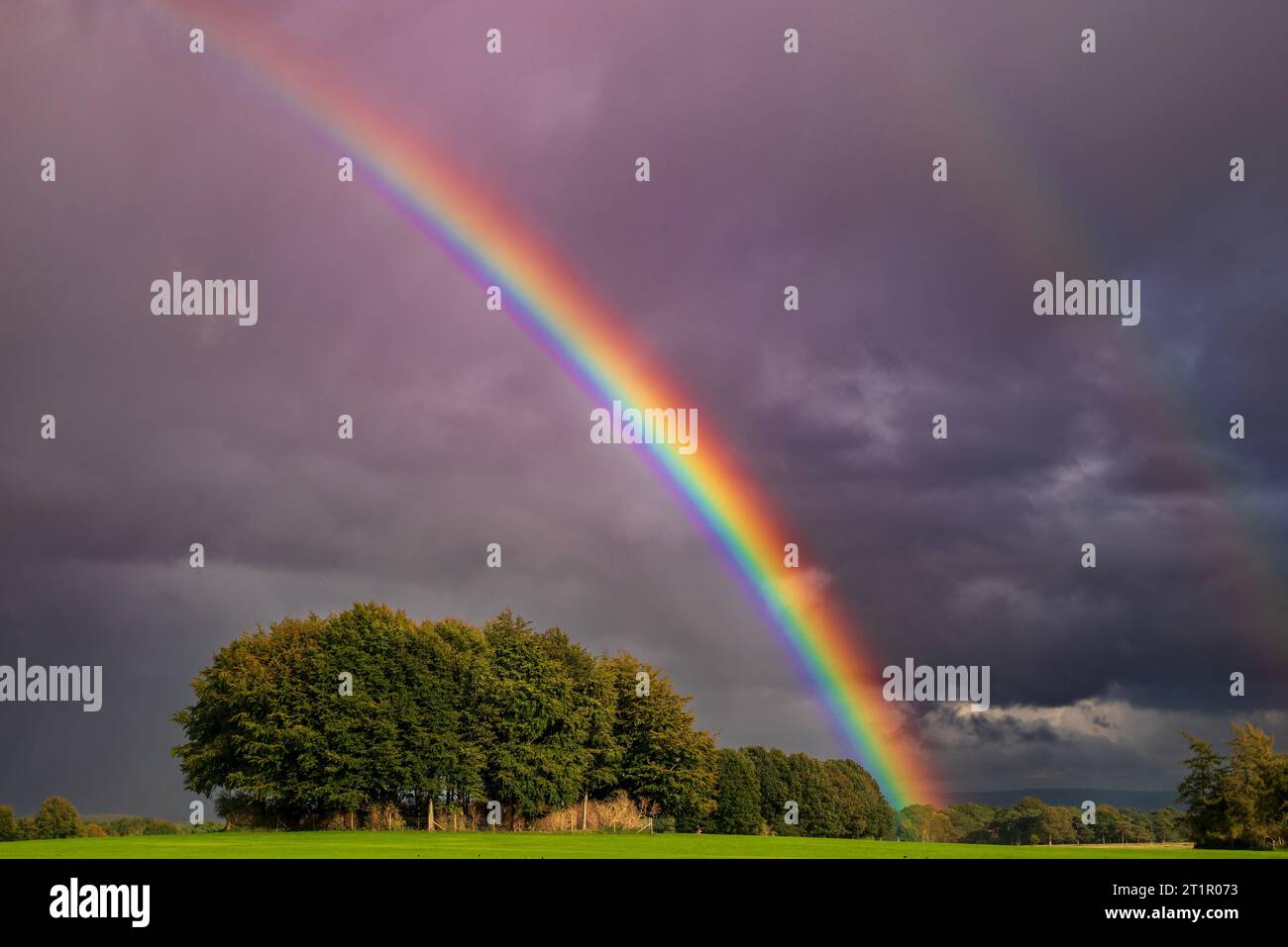 Double rainbow over trees Stock Photo - Alamy