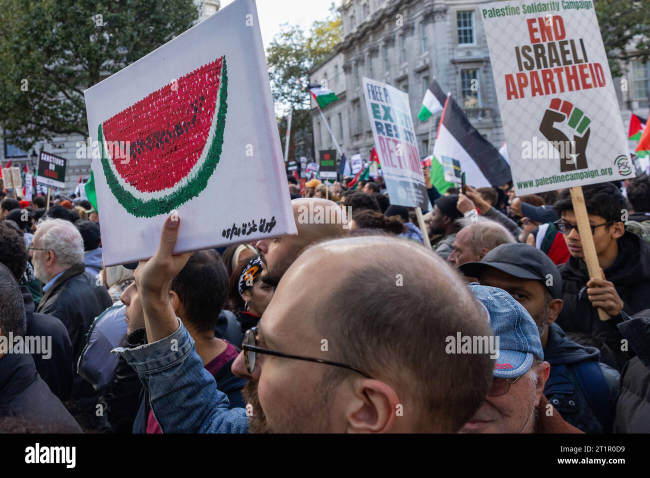 London, UK. 14th October, 2023. A pro-Palestinian demonstrator holds up ...