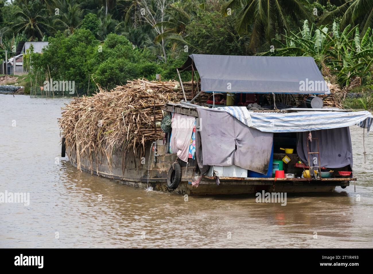 Small Boat Transporting Sugar Cane on the Mekong River, Vietnam Stock ...