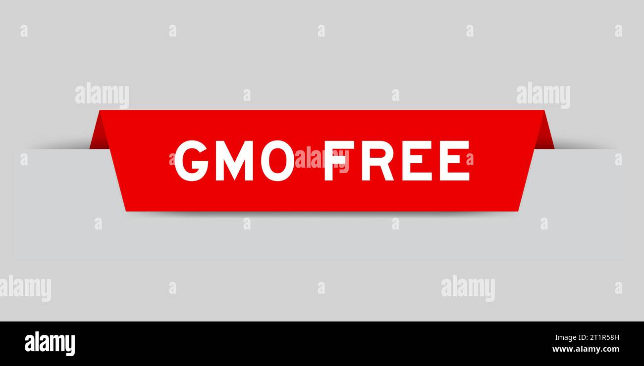 Red color inserted label with word GMO (abbreviation of Genetically ...