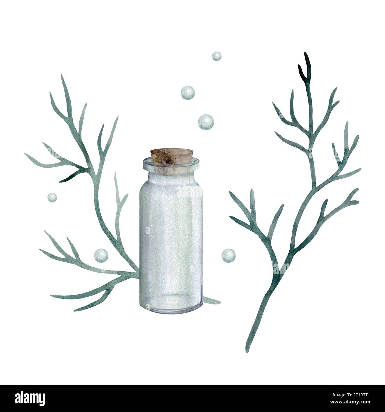 Set of glass jar, vase with wooden stopper, lid. Ocean blue seaweed ...