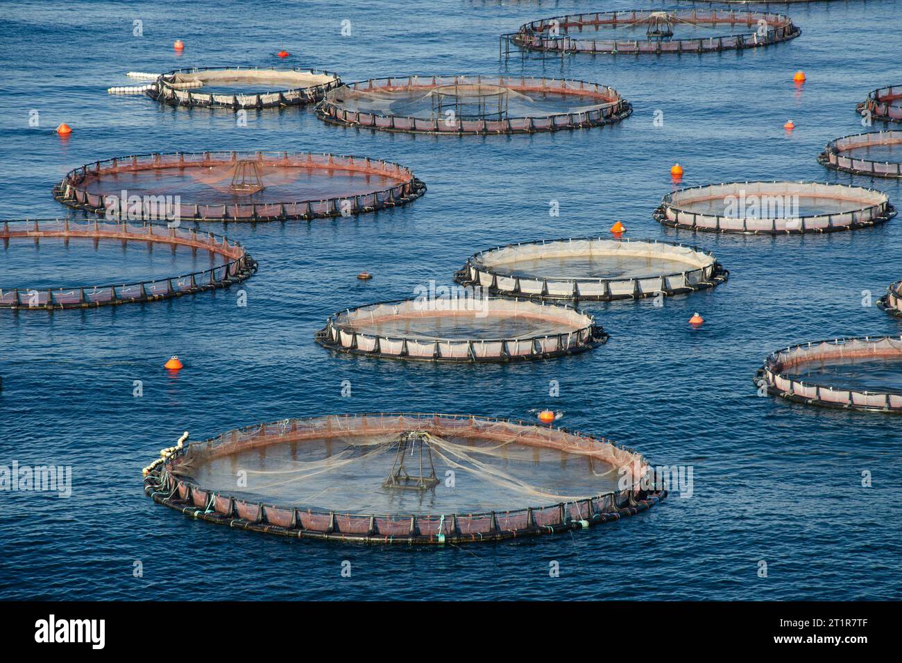 Cages for growing fish. Floating construction for open-water fish farm ...