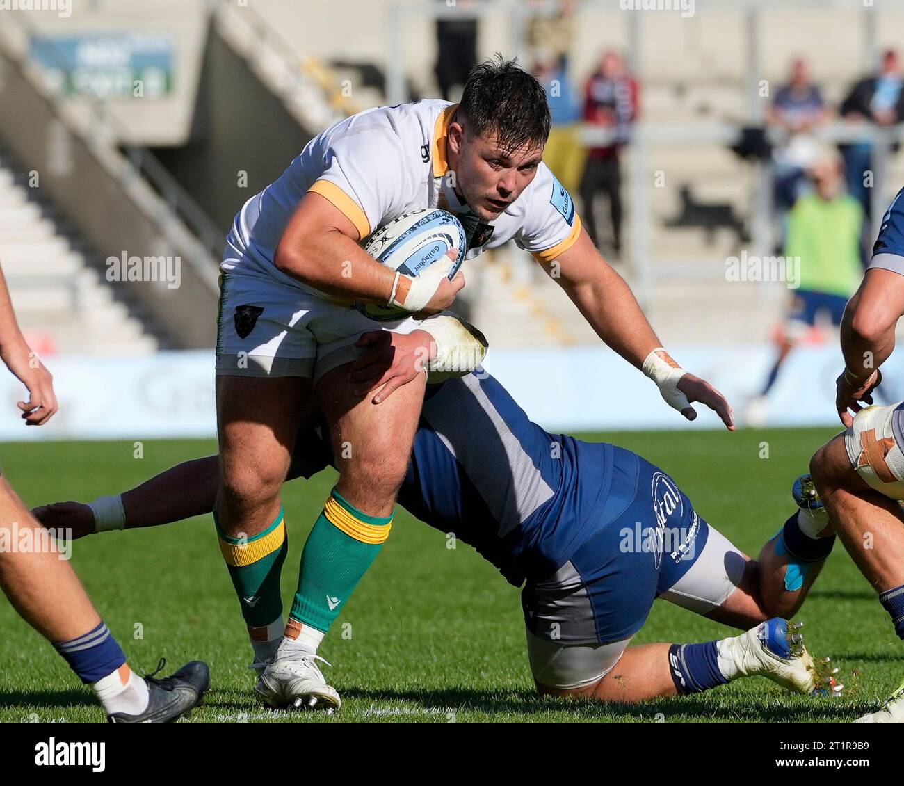 Nick schonert of sale sharks hi-res stock photography and images - Alamy