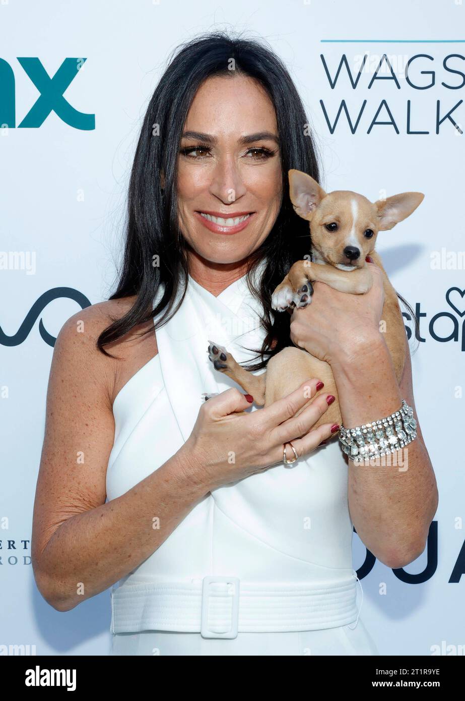 LOS ANGELES, CA - OCTOBER 14: Lesley Brog, at The Wags & Walks 12th ...