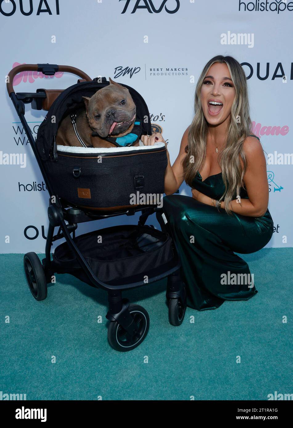 LOS ANGELES, CA - OCTOBER 14: Alex Hall, at The Wags & Walks 12th ...