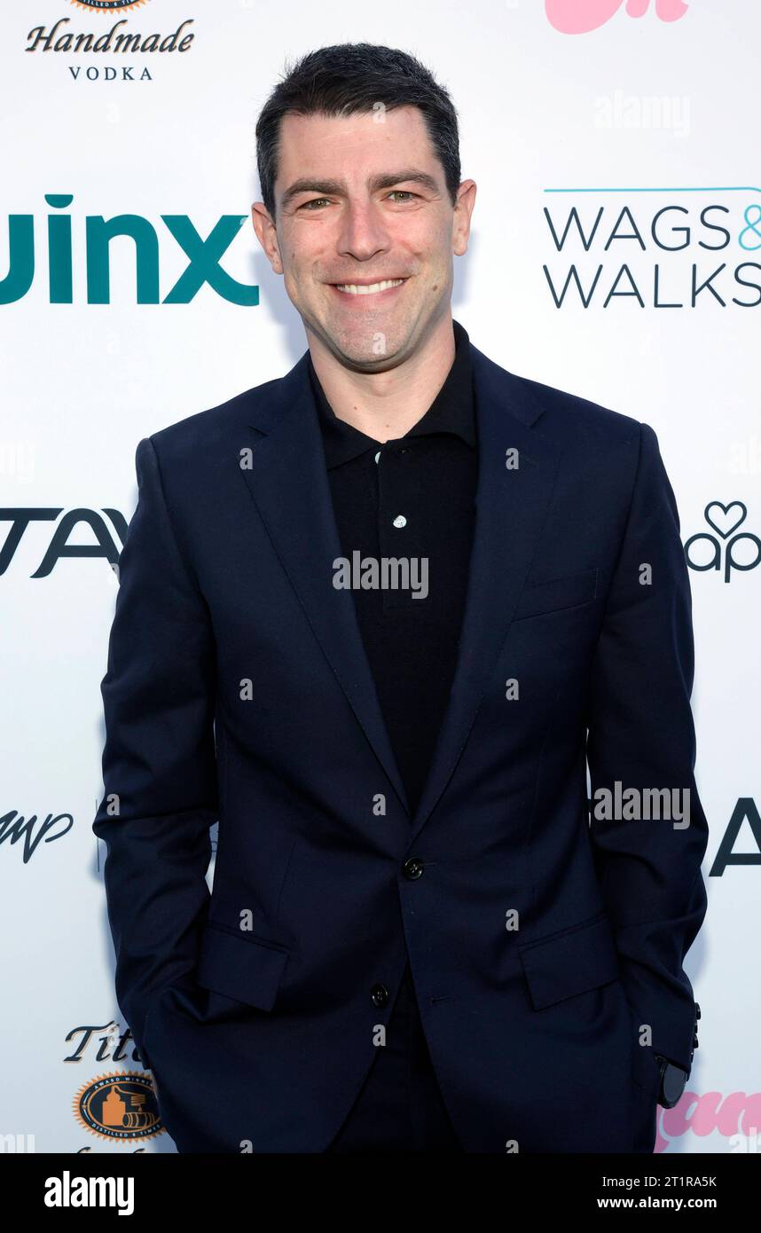 LOS ANGELES, CA - OCTOBER 14: Max Greenfield, at The Wags & Walks 12th ...