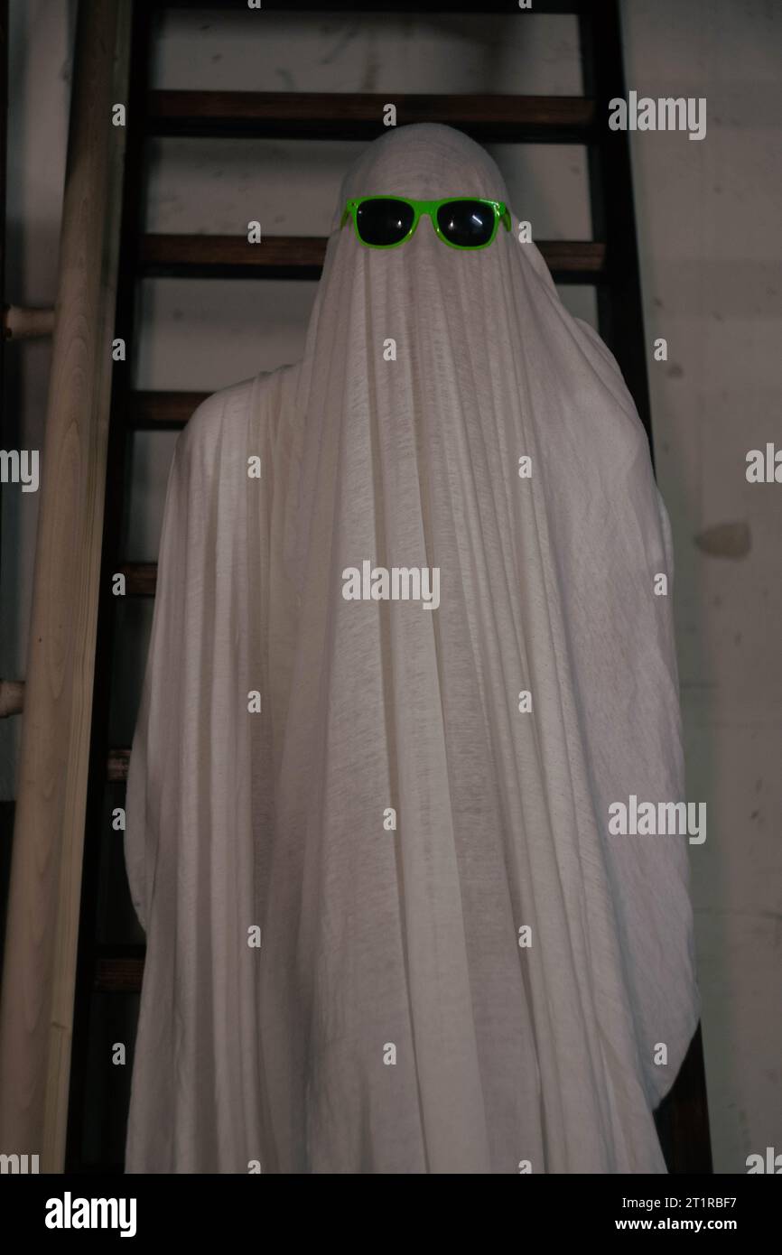 Hallowen ghosts haunt the castle and the castle,white spirits, casper ...